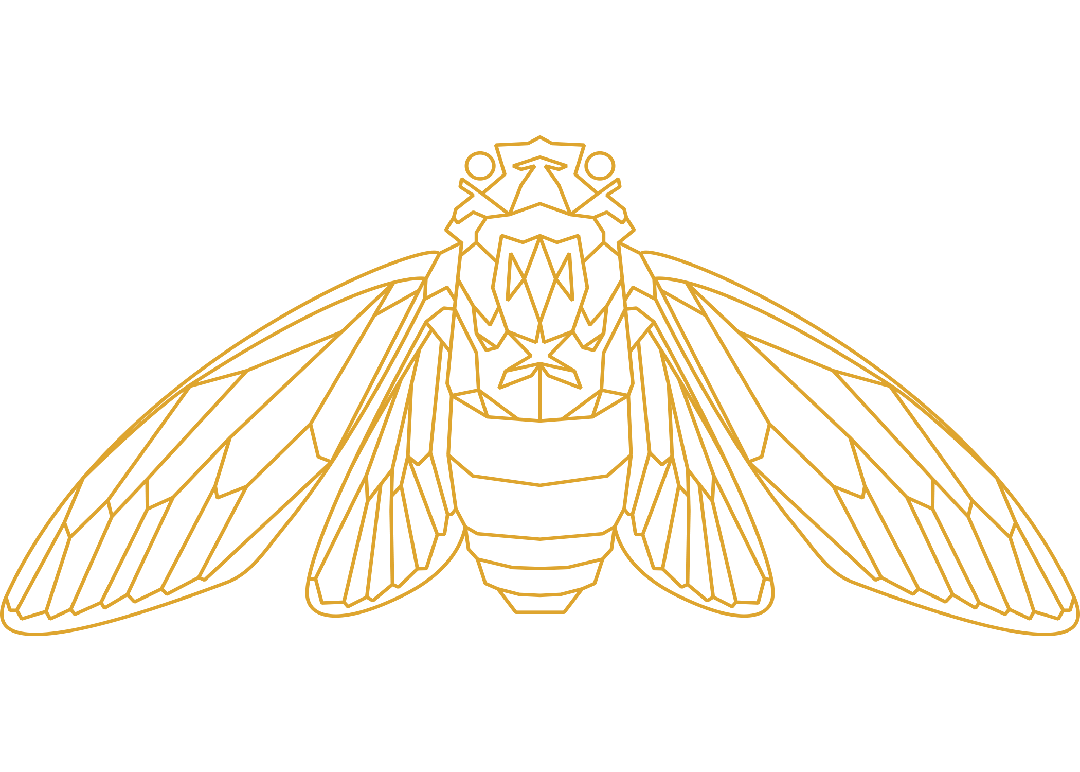 Cicada Media Inc Order Form